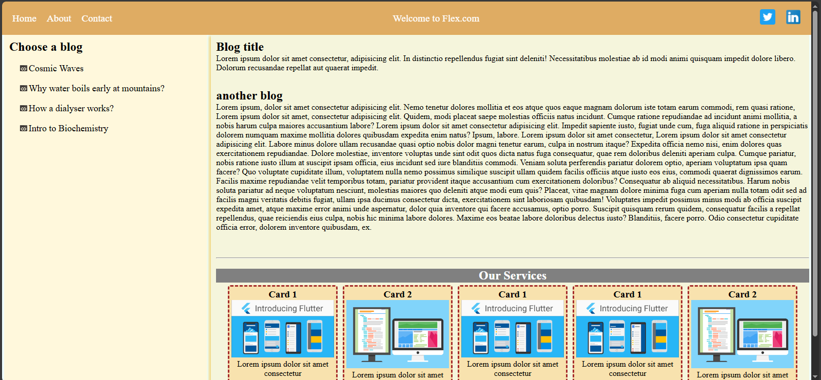 Flex Box Layout – RkVirus Store
